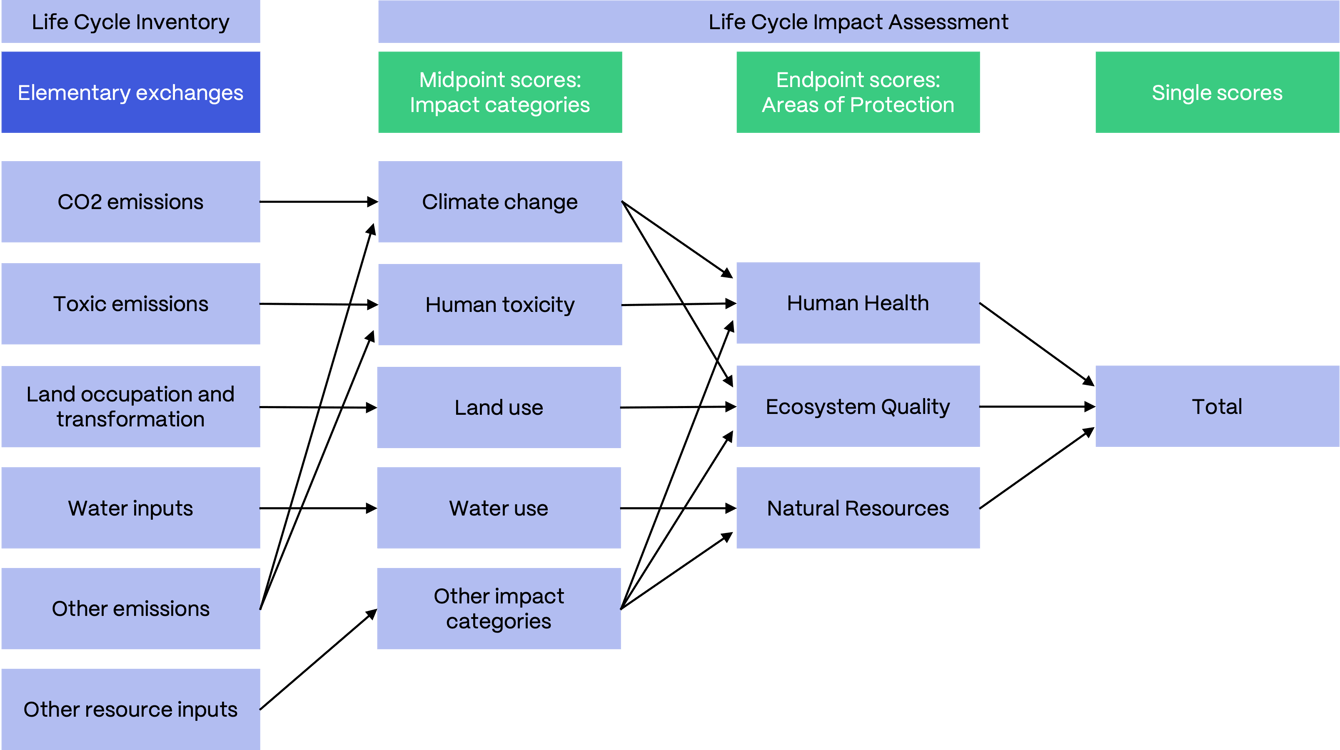 Impact Assessment